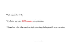 Egg formation process in chicken | PPSX