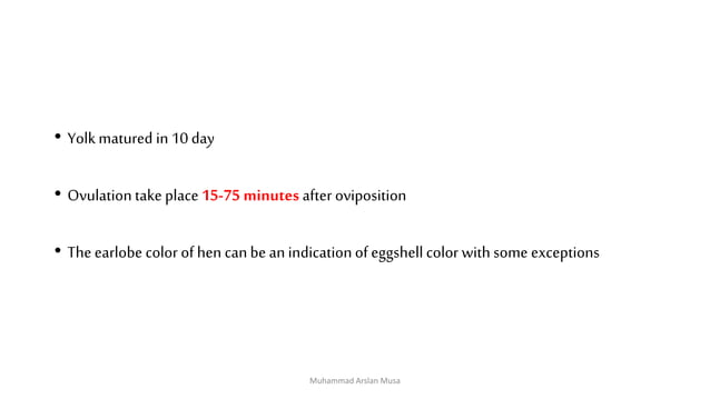 Egg formation process in chicken | PPSX