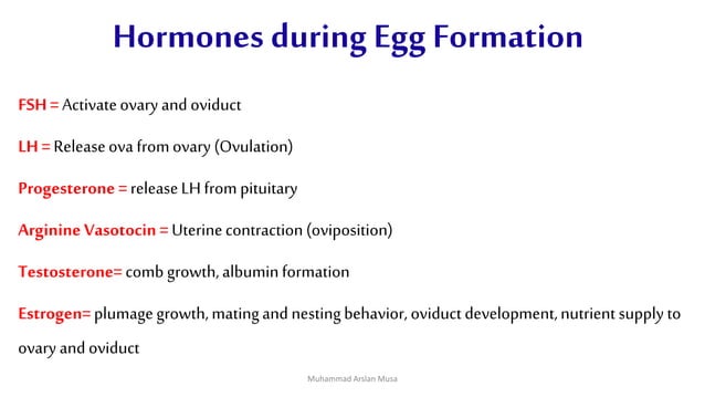 Egg formation process in chicken | PPSX