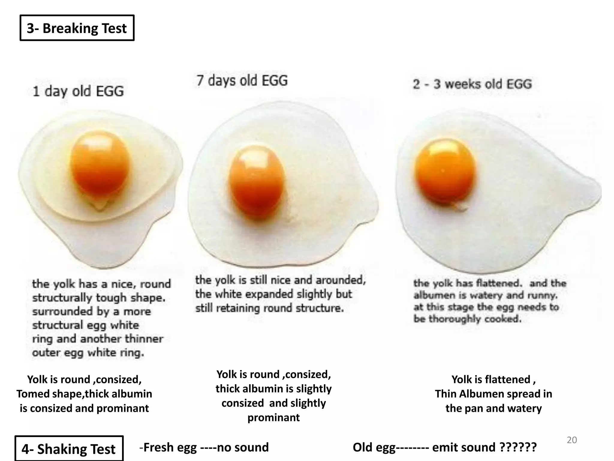 Egg hygiene | PDF