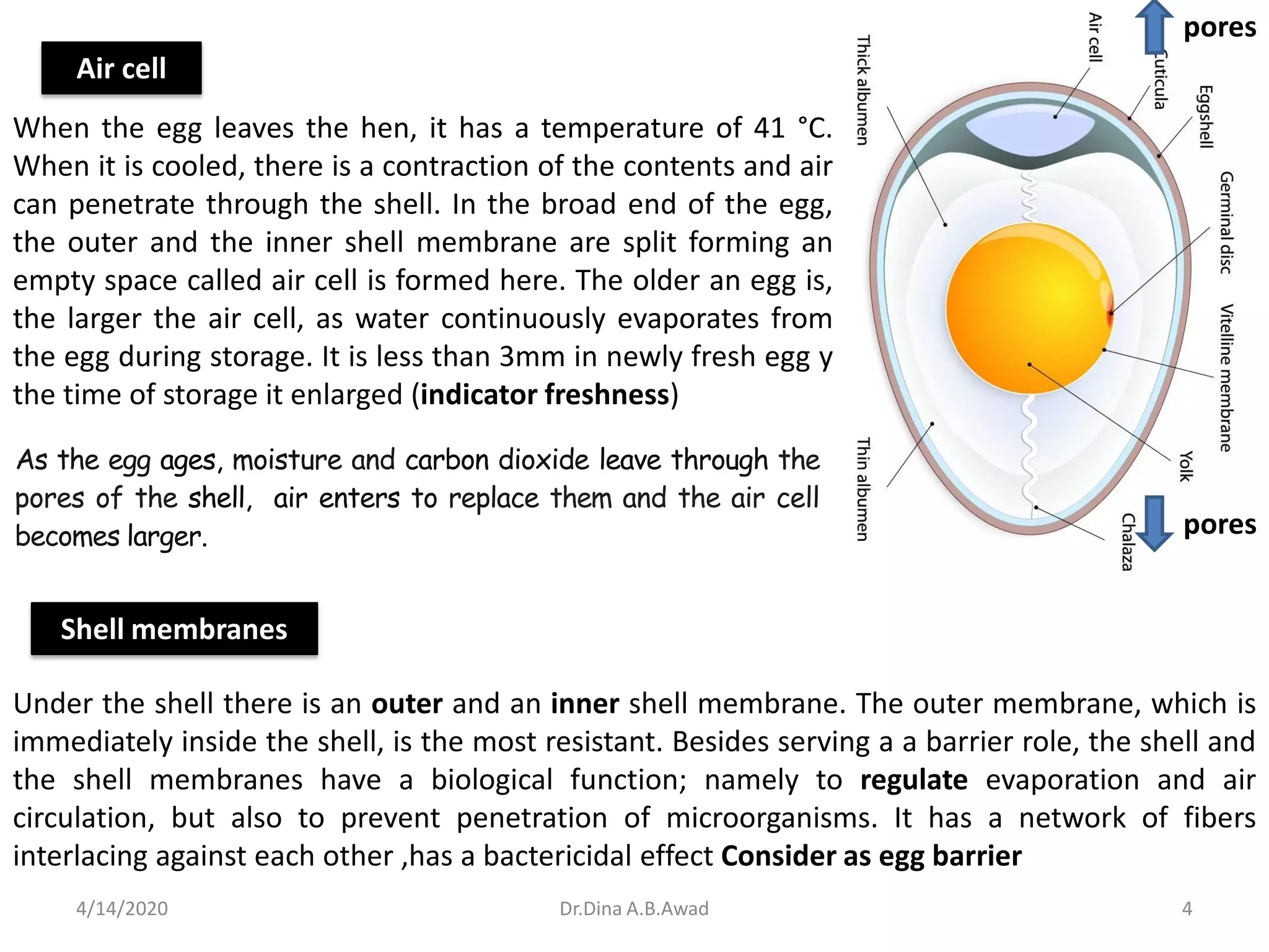 Egg hygiene | PDF