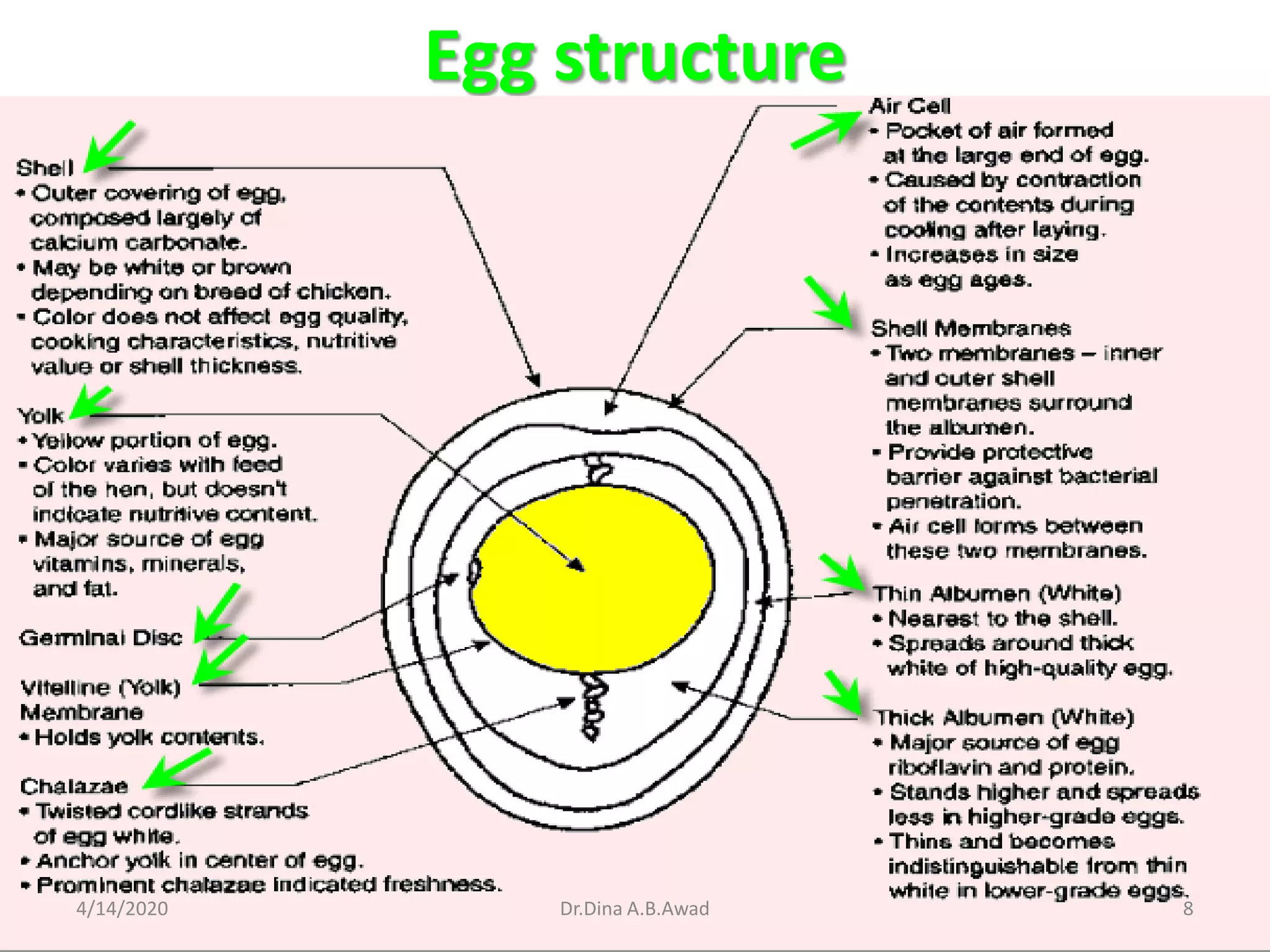 Egg hygiene | PDF