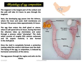 Egg hygiene | PDF