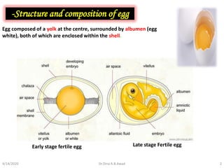 Egg hygiene | PDF