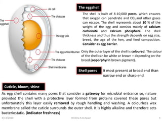 Egg hygiene | PDF