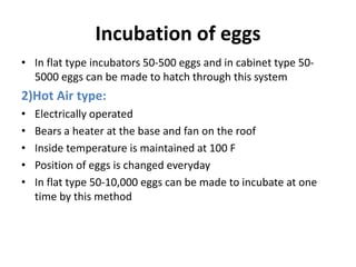 Egg incubation | PPTX