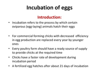 Egg incubation | PPTX