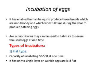 Egg incubation | PPTX