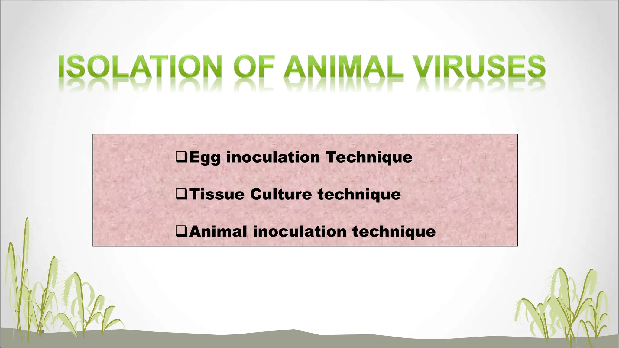 Egg inoculation technique for isolation of animal viruses | PPT