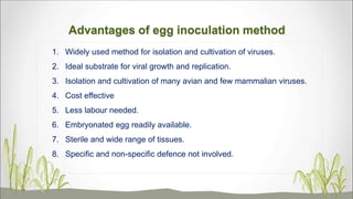 Egg inoculation technique for isolation of animal viruses | PPT