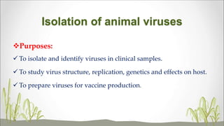 Egg inoculation technique for isolation of animal viruses | PPT