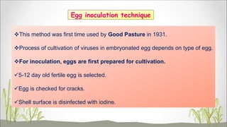 Egg inoculation technique for isolation of animal viruses | PPT