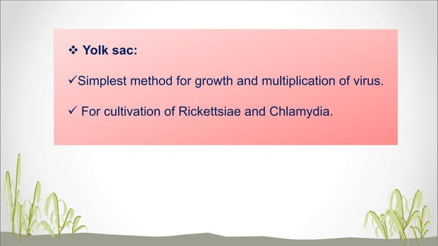 Egg inoculation technique for isolation of animal viruses | PPT