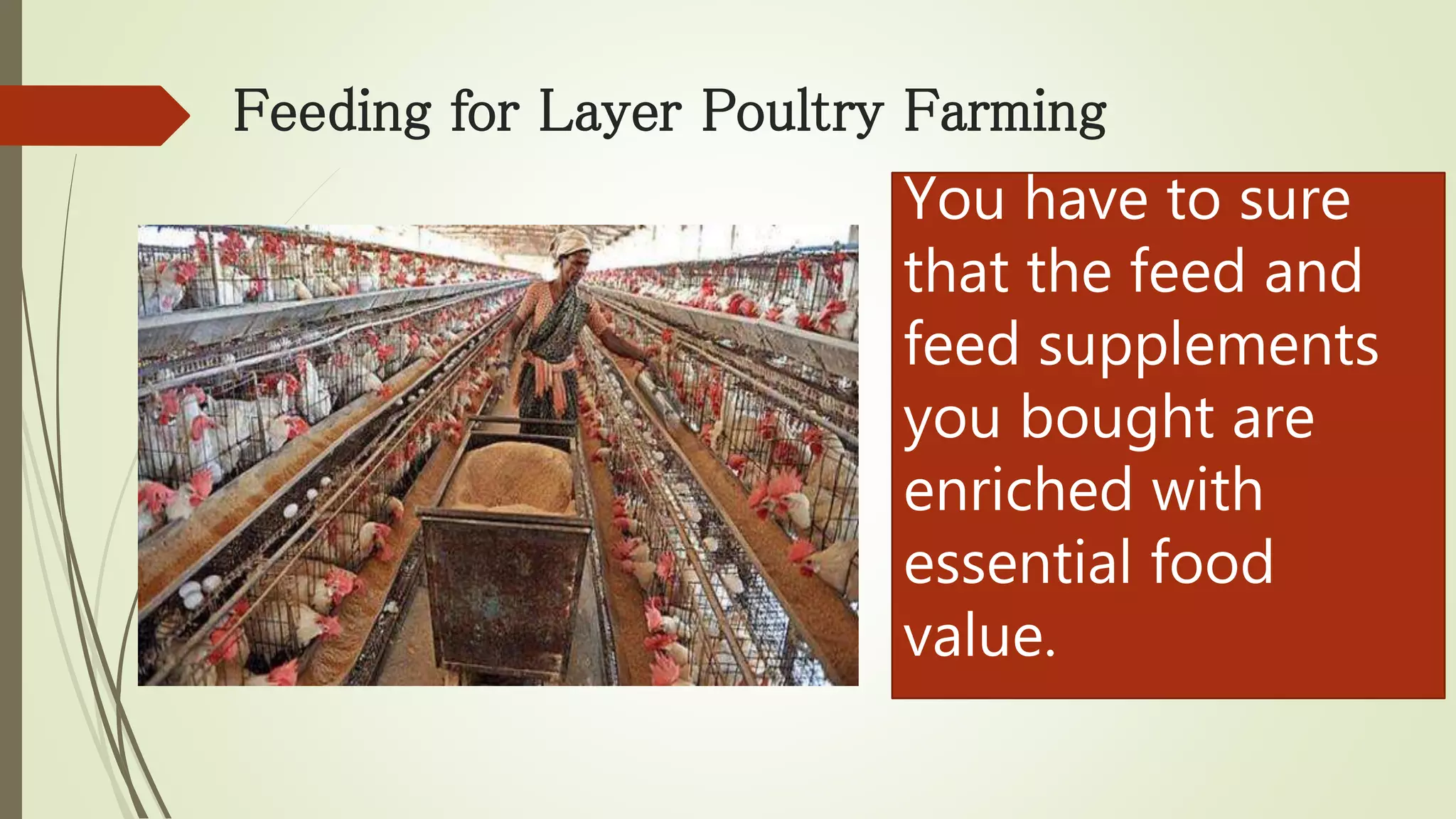 Egg (layer farming) | PPTX