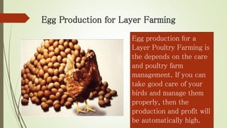 Egg (layer farming) | PPTX