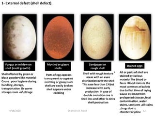 Egg lecture | PDF