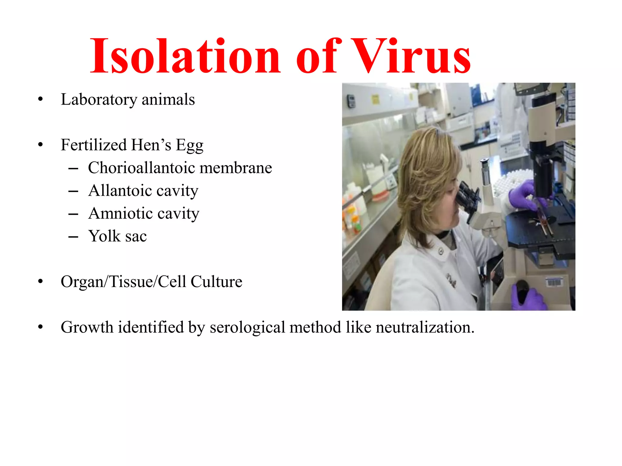 egg n cell vaccine production.ppt