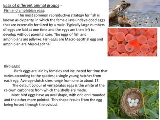 egg of animals22.pptx here we discussed about animals egg | PPTX