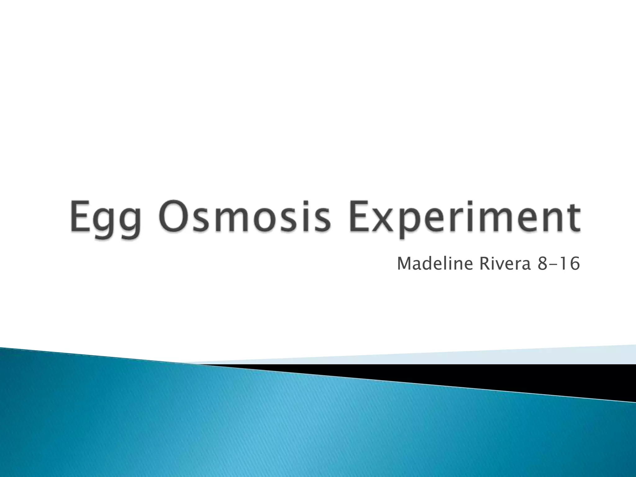 Madeline Rivera 8-16 Egg Osmosis Experiment | PPTX