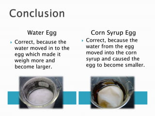 Madeline Rivera 8-16 Egg Osmosis Experiment | PPT