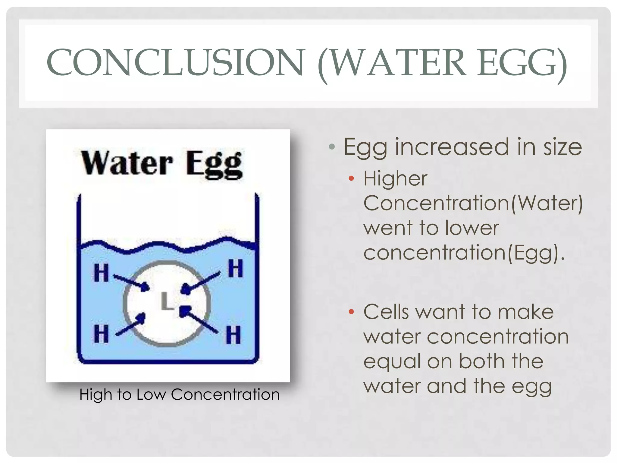 Angela 816 Egg osmosis experiment | PPTX