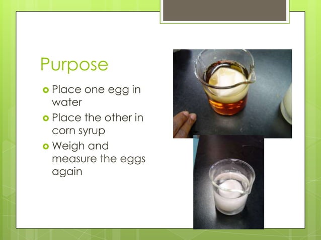 Egg osmosis experiment | PPT
