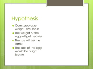Egg osmosis experiment | PPTX