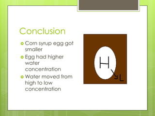 Egg osmosis experiment | PPTX