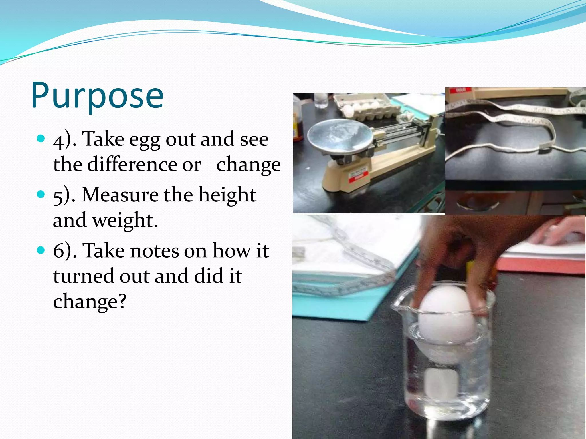 Egg osmosis experiment | PPTX