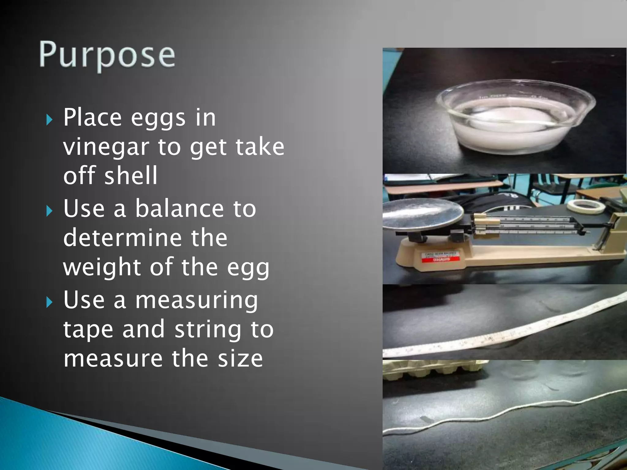 Egg osmosis experiment | PPT