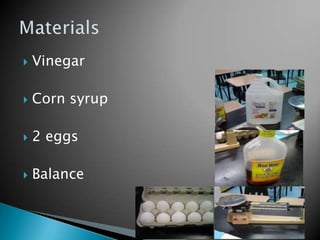 Egg osmosis experiment | PPTX | Chemistry | Science