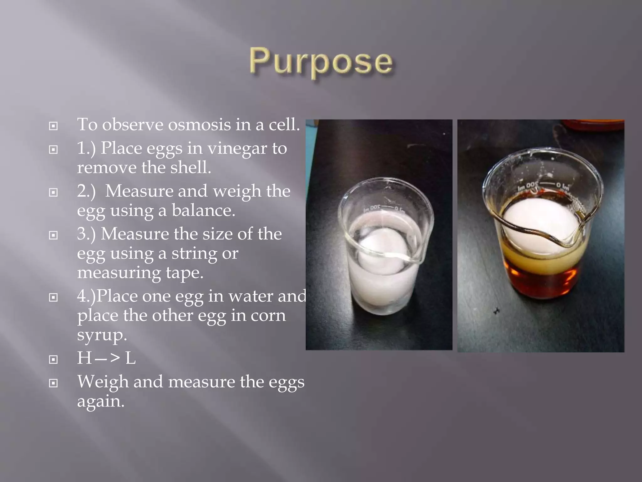 Egg osmosis experiment | PPTX