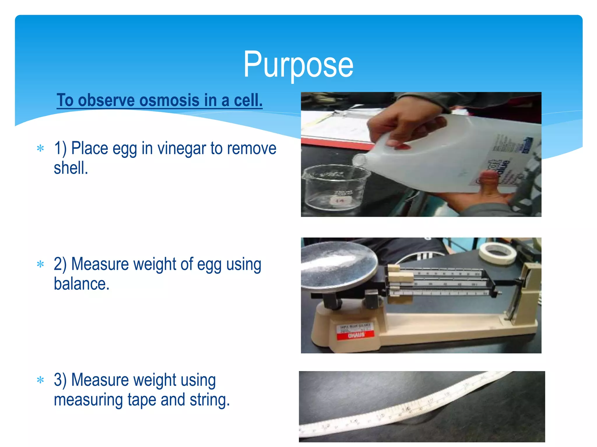 Egg osmosis experiment | PPTX