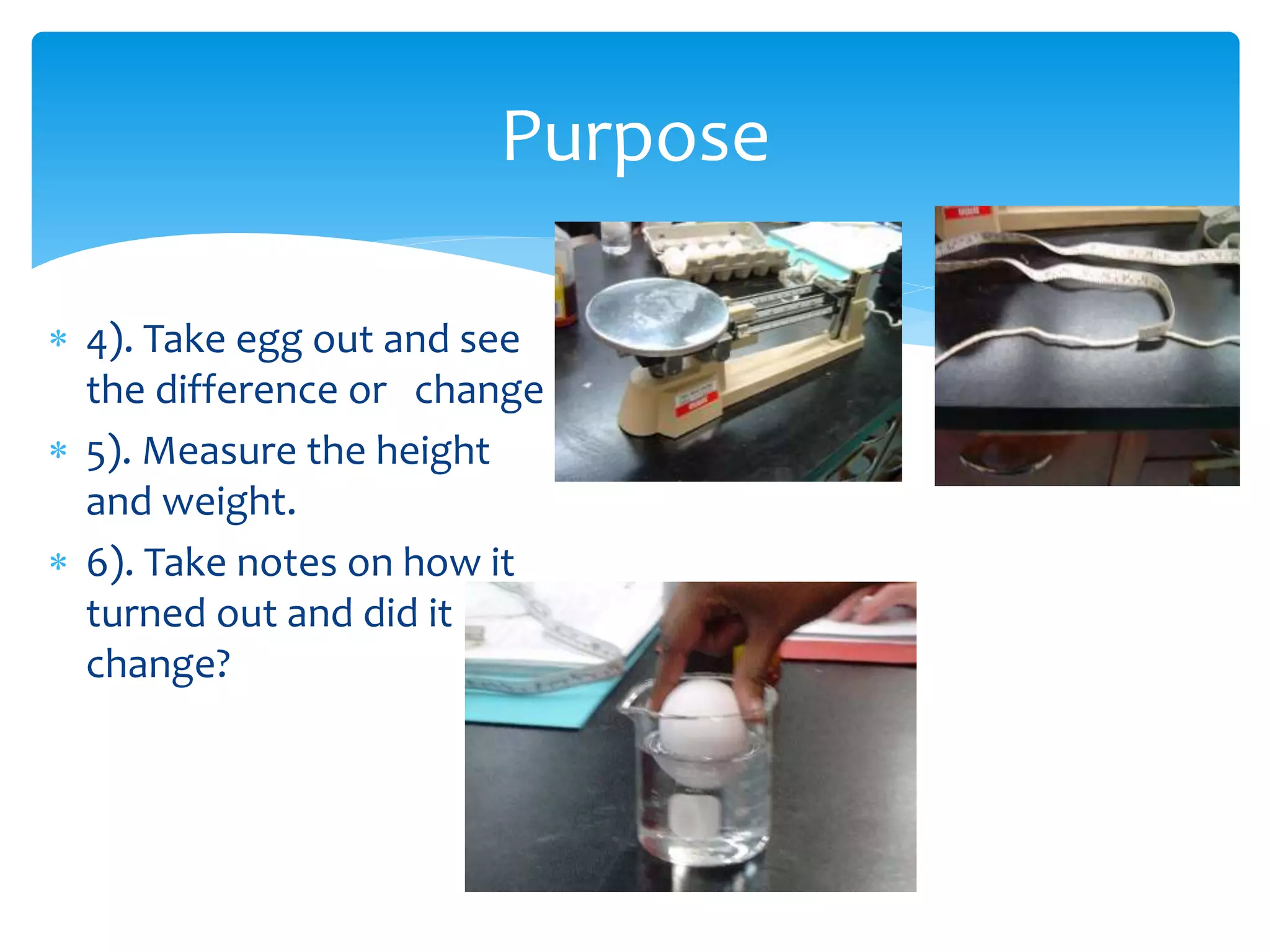 Egg osmosis experiment | PPTX