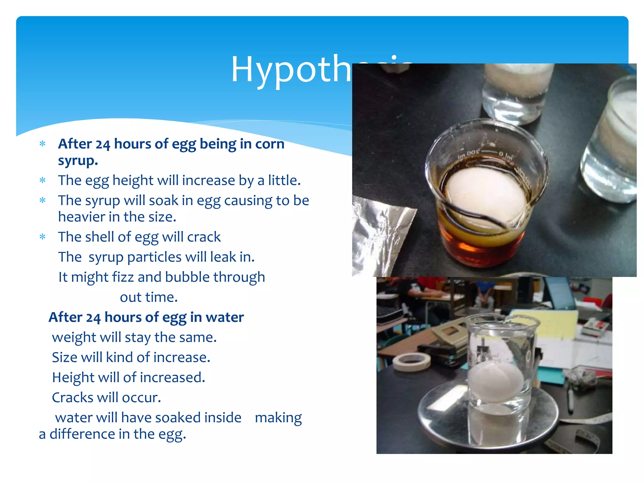 Egg osmosis experiment | PPTX