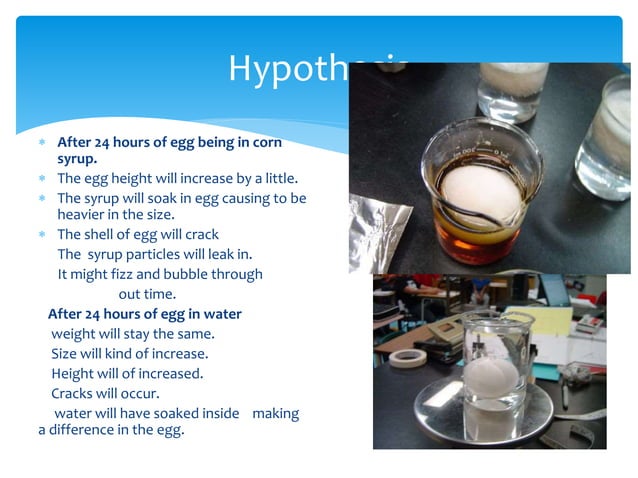 Egg osmosis experiment | PPTX