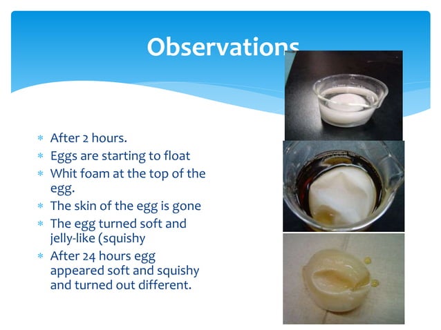Egg osmosis experiment | PPTX