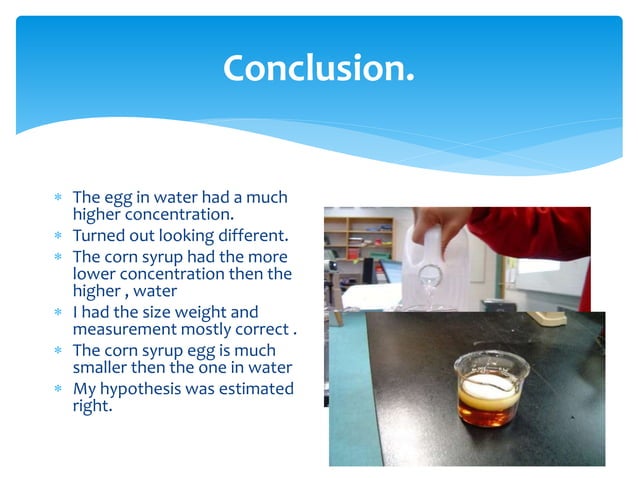 Egg osmosis experiment | PPTX