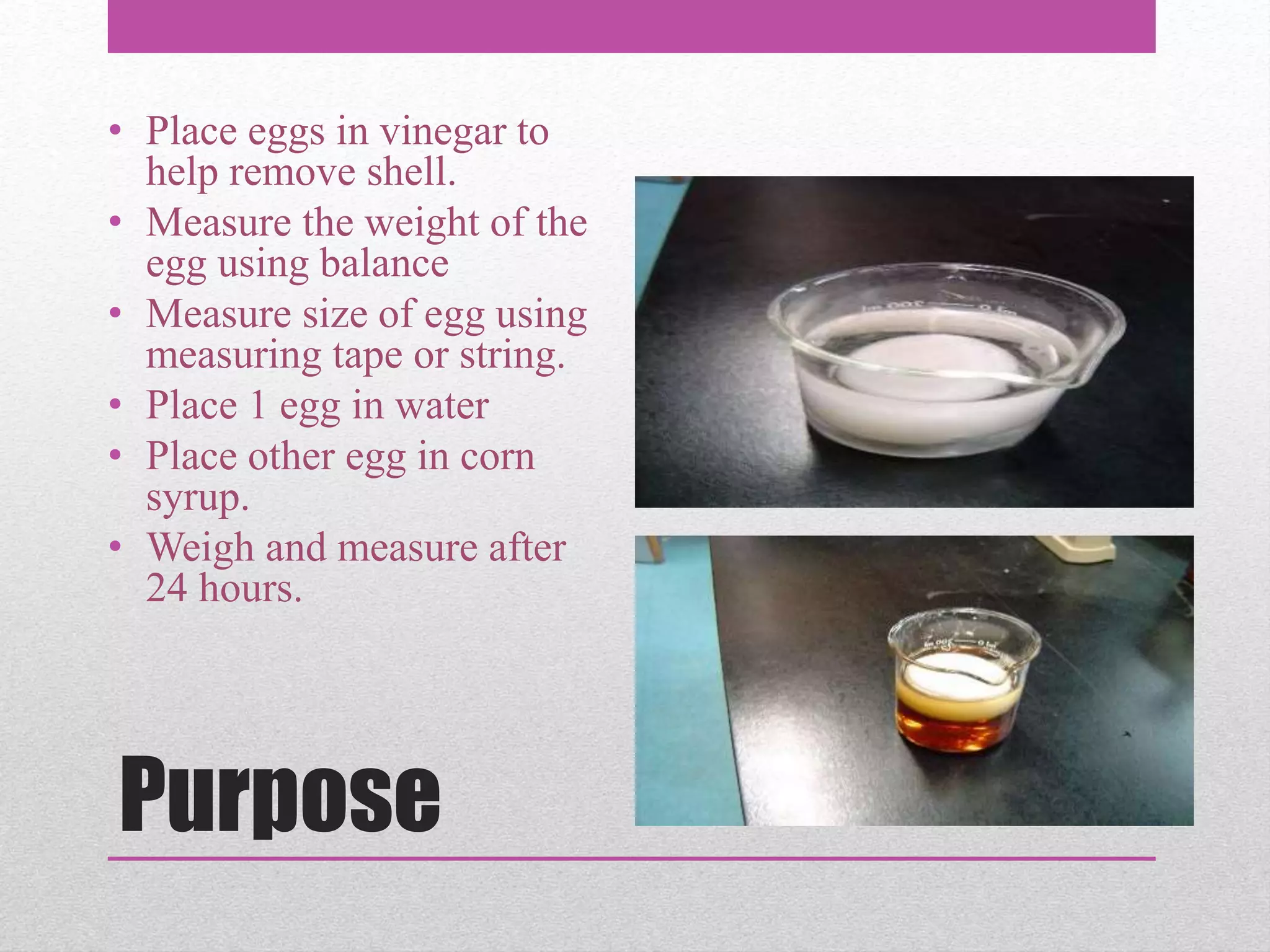 Egg osmosis experiment | PPTX | Chemistry | Science