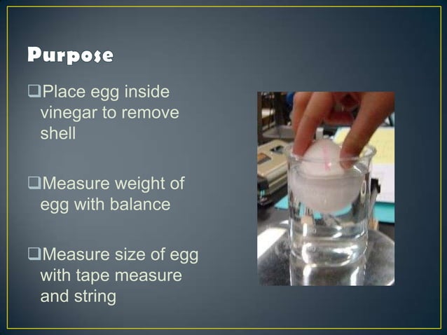 Egg osmosis experiment | PPTX | Chemistry | Science