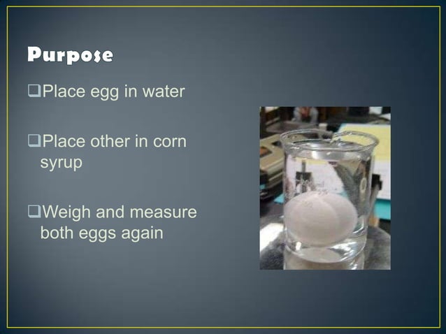 Egg osmosis experiment | PPTX | Chemistry | Science