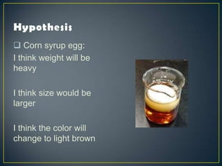 Egg osmosis experiment | PPTX