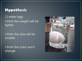 Egg osmosis experiment | PPTX | Chemistry | Science