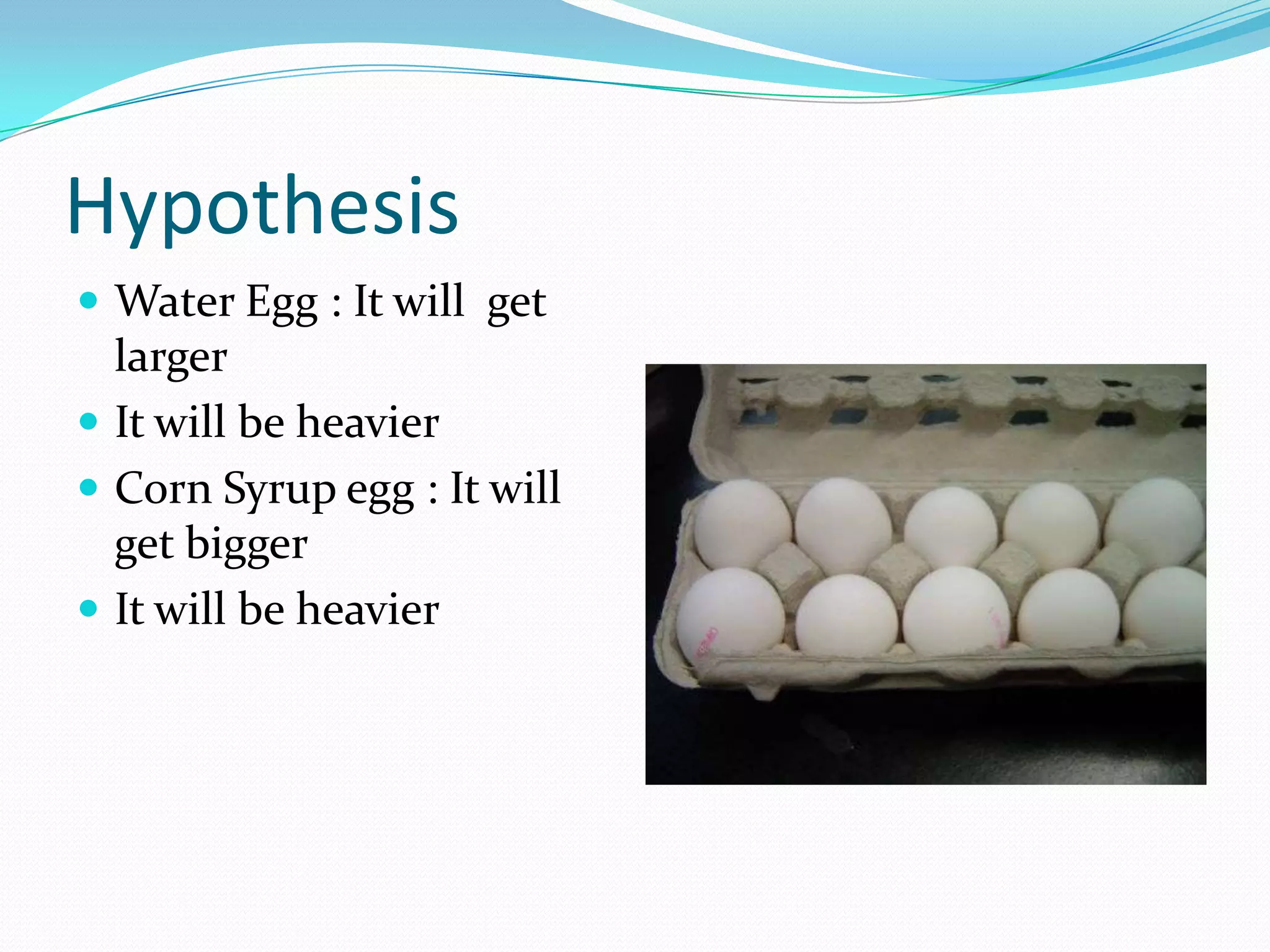 Egg osmosis experiment | PPT