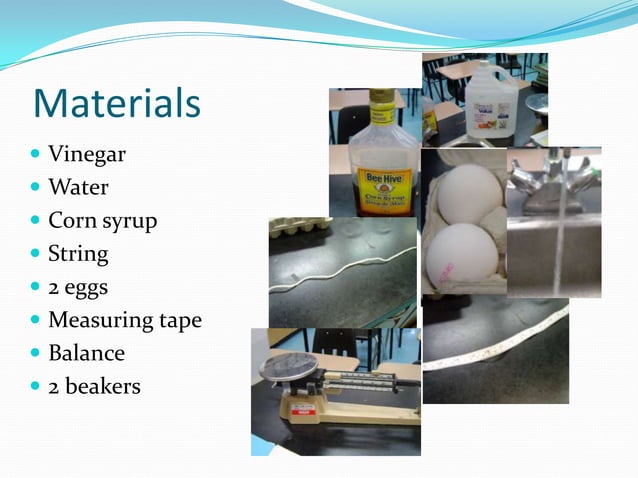 Egg osmosis experiment | PPT