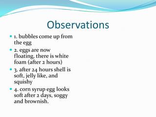 Egg osmosis experiment | PPTX | Chemistry | Science