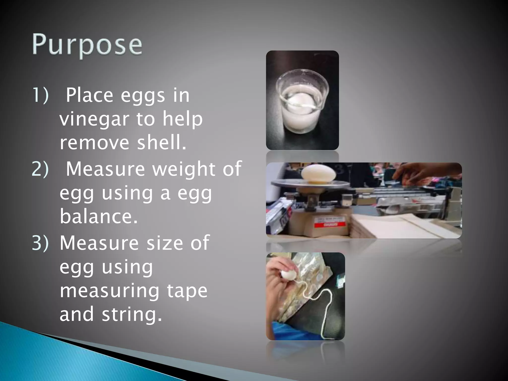 Egg osmosis experiment | PPT