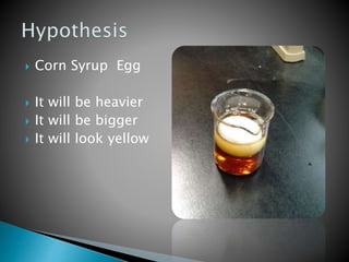 Egg osmosis experiment | PPTX