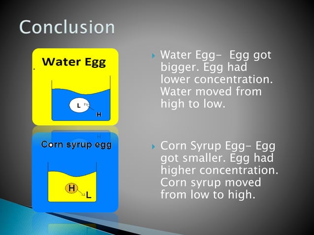 Egg osmosis experiment | PPT