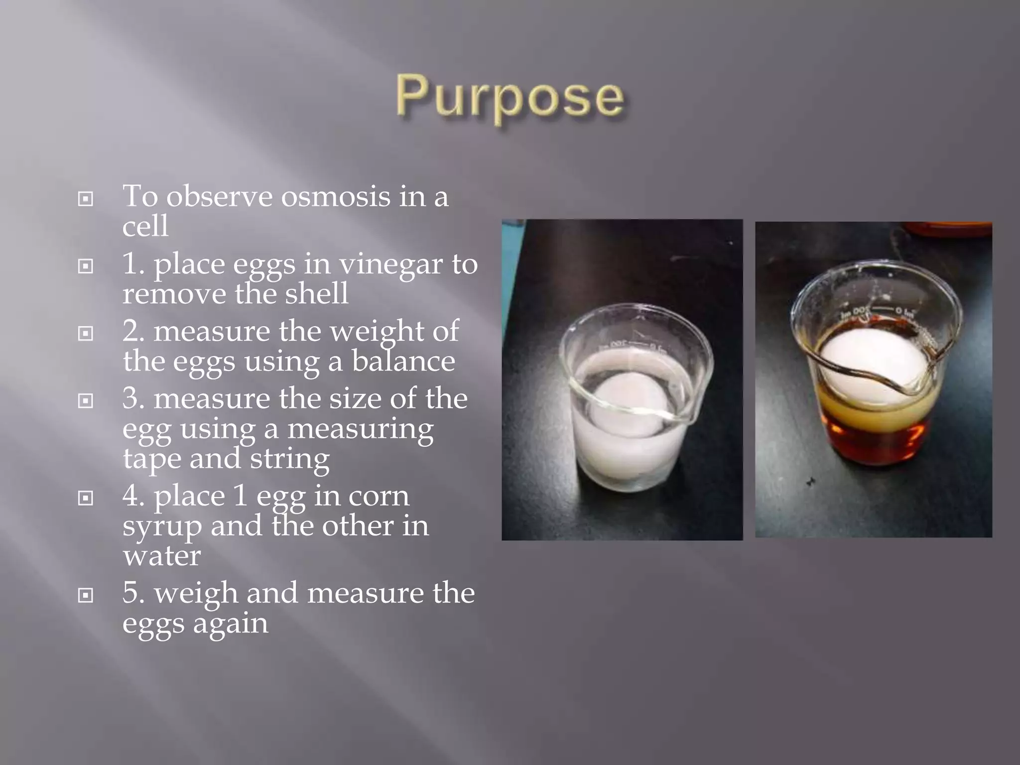 Egg osmosis experiment | PPTX
